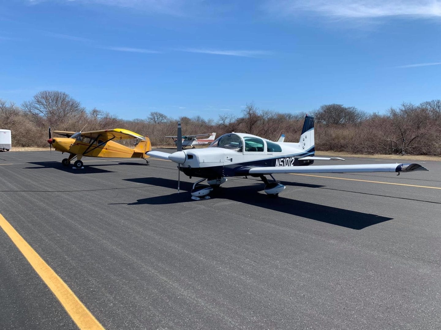 Travel Nurse Stories: Using Pilot’s License for Pets | TNAA