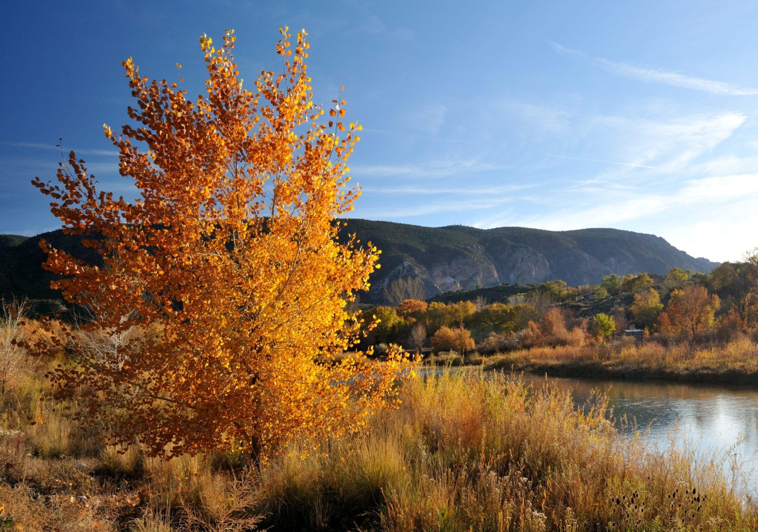 Top 5 Travel Destinations to Enjoy Fall Foliage | TNAA