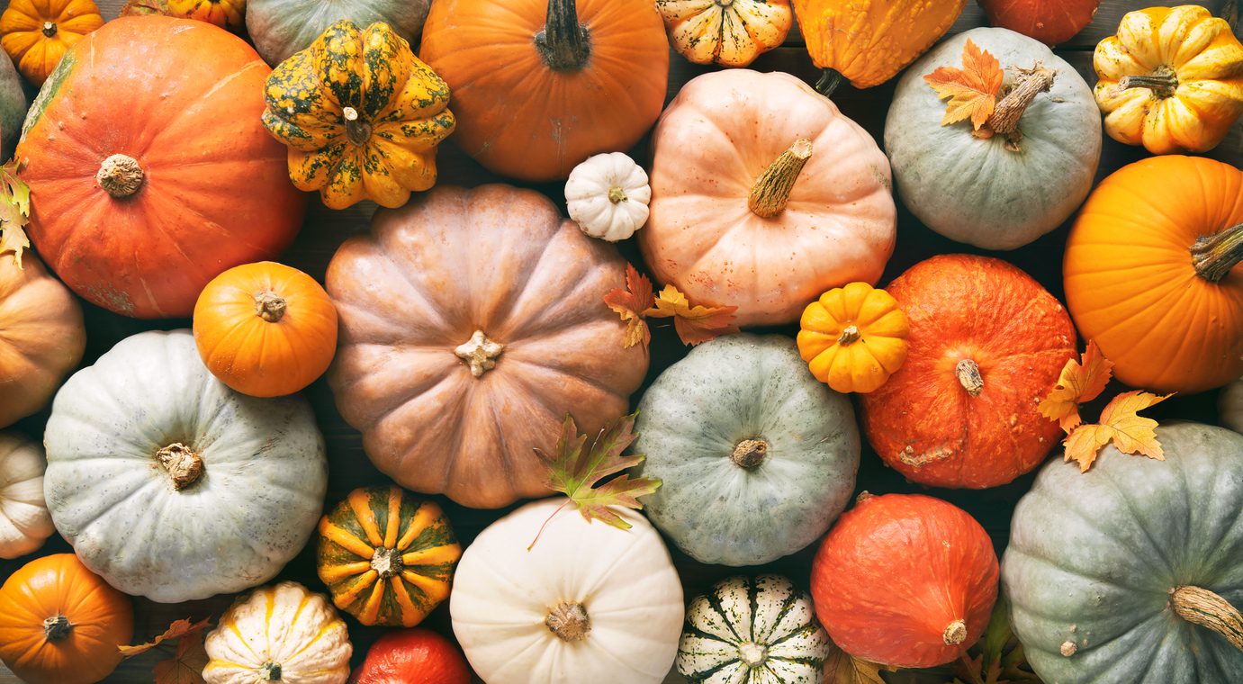 November Healthcare Holidays in the U.S. to Celebrate | TNAA